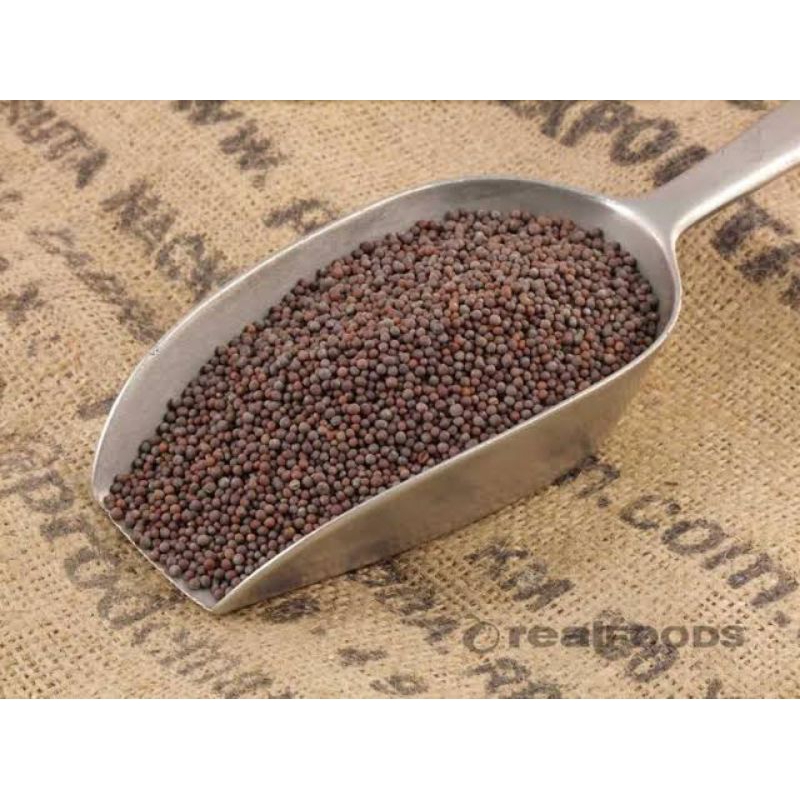Jual Black Mustard Seed 100gram / Biji Sawi Hitam | Shopee Indonesia