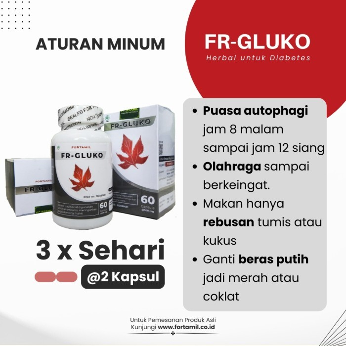 Jual FR-Gluko Fortamil 1Botol 60 Kapsul Penurun Gula Darah Asli BPOM ...