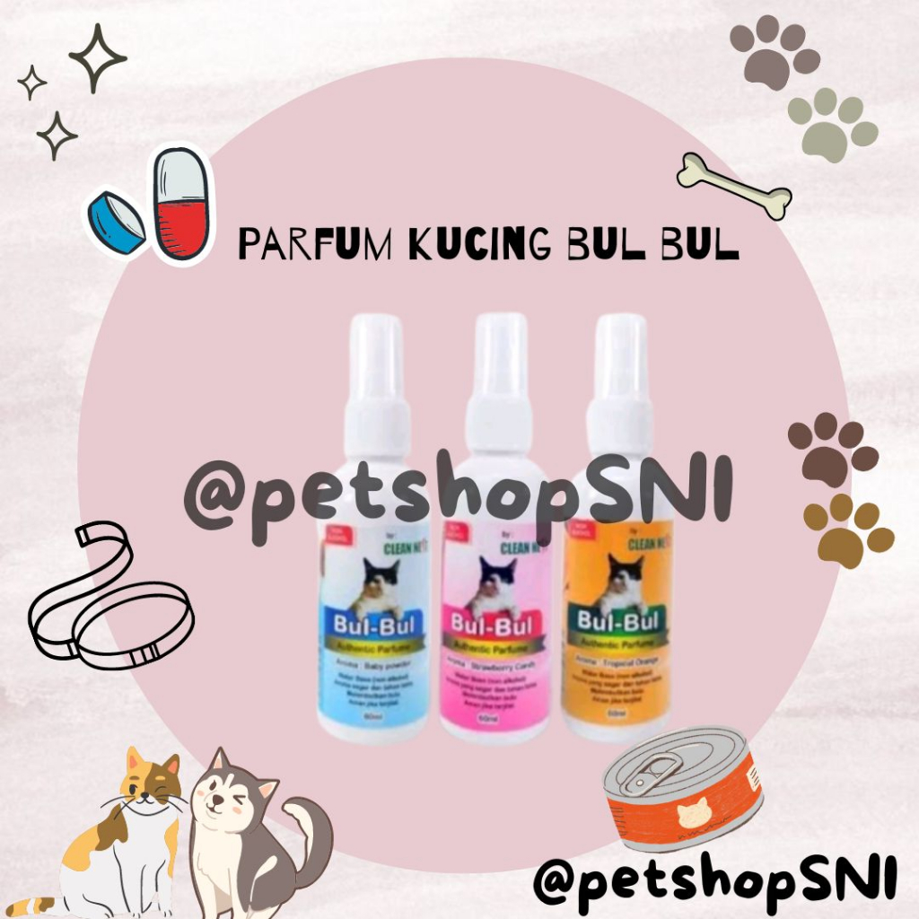 Jual PREMIUM Parfum Kucing Bul-Bul authentic perfume 60 ml | Shopee ...