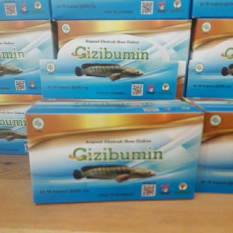 Jual Proalbumin Gizibumin Ekstrak Ikan Gabus/Kutuk 50kapsul @500mg ...
