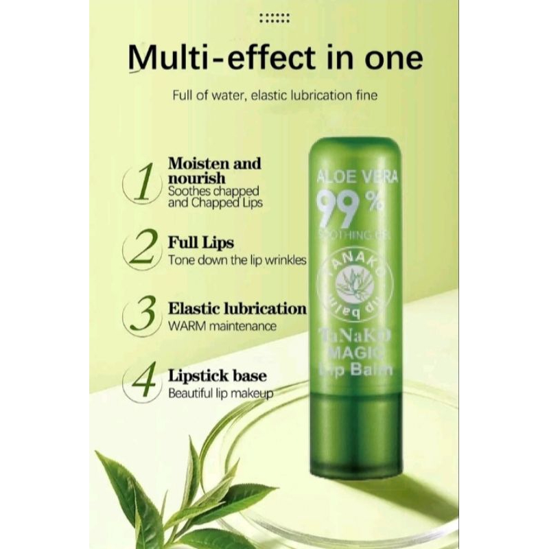 Jual TANAKO MAGIC LIP BALM ALOE VERA 99% SOOTHING GEL (Exp 2027 ...