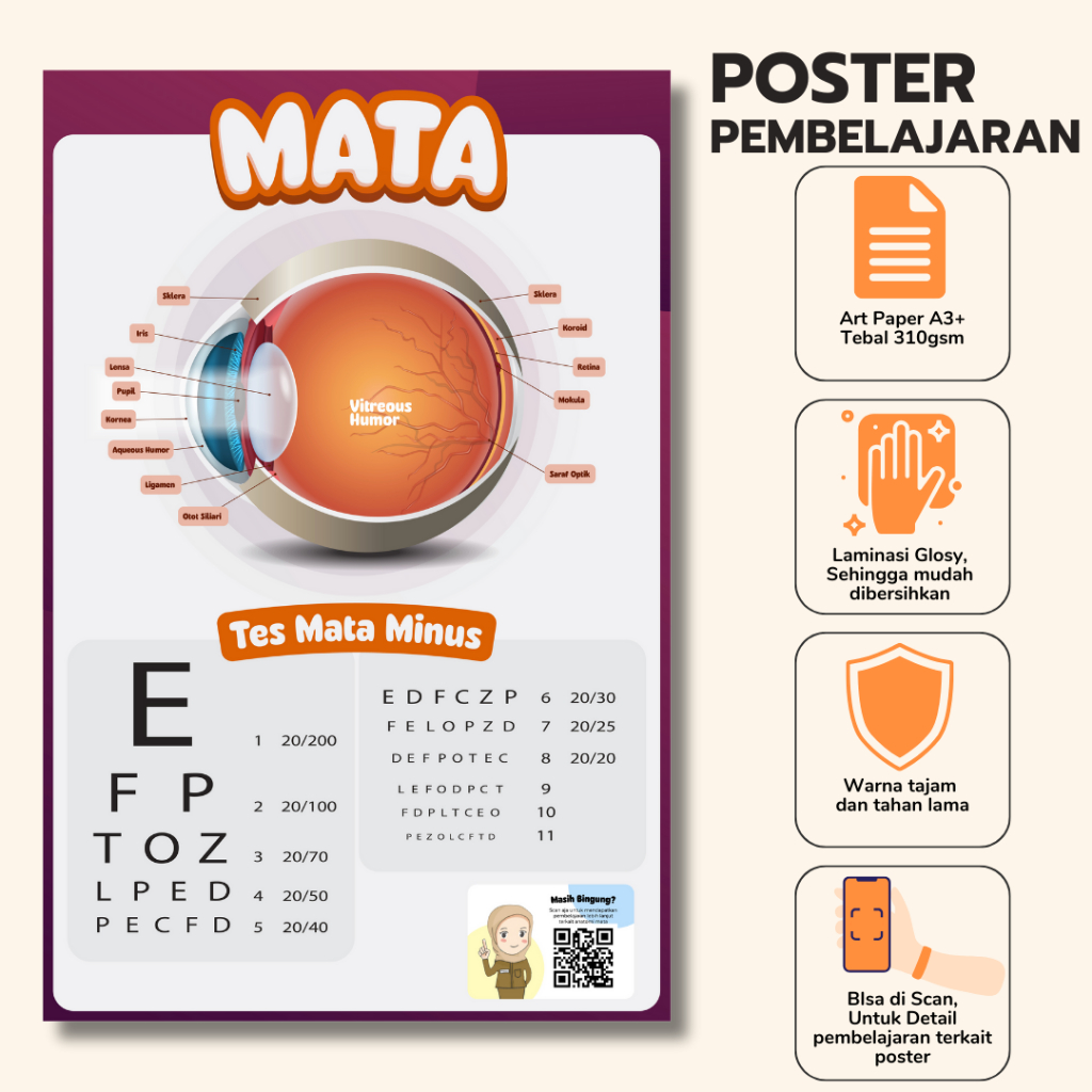 Jual Bu Guru Ria - Poster Anatomi Mata Disertai Scan Untuk Pembelajaran ...