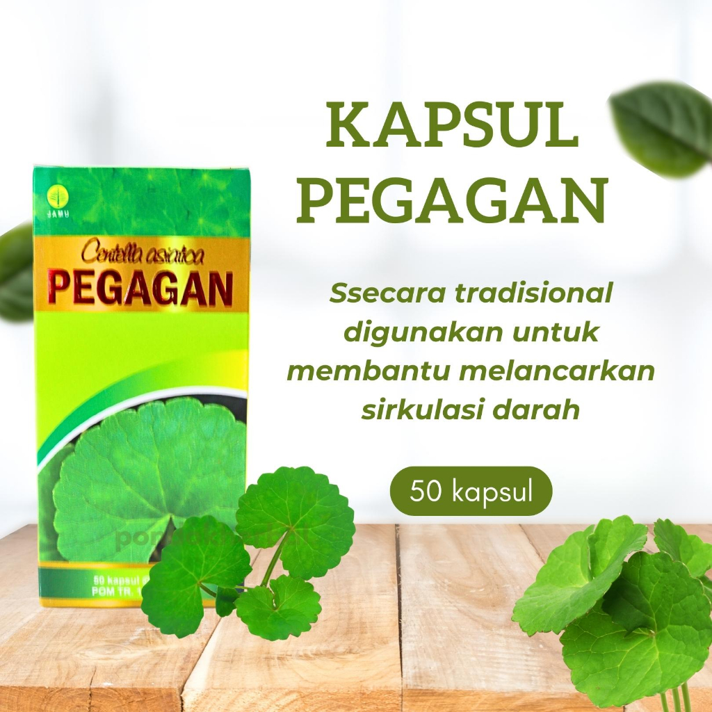 Jual Kapsul Pegagan Toga Nusantara Herbal Nutrisi Otak | 50 Kapsul ...