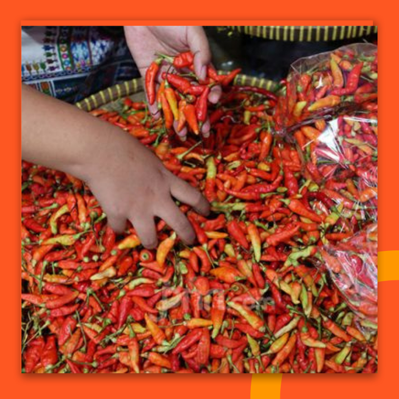Jual Cabe Cabai Rawit Merah Fresh Segar | Shopee Indonesia