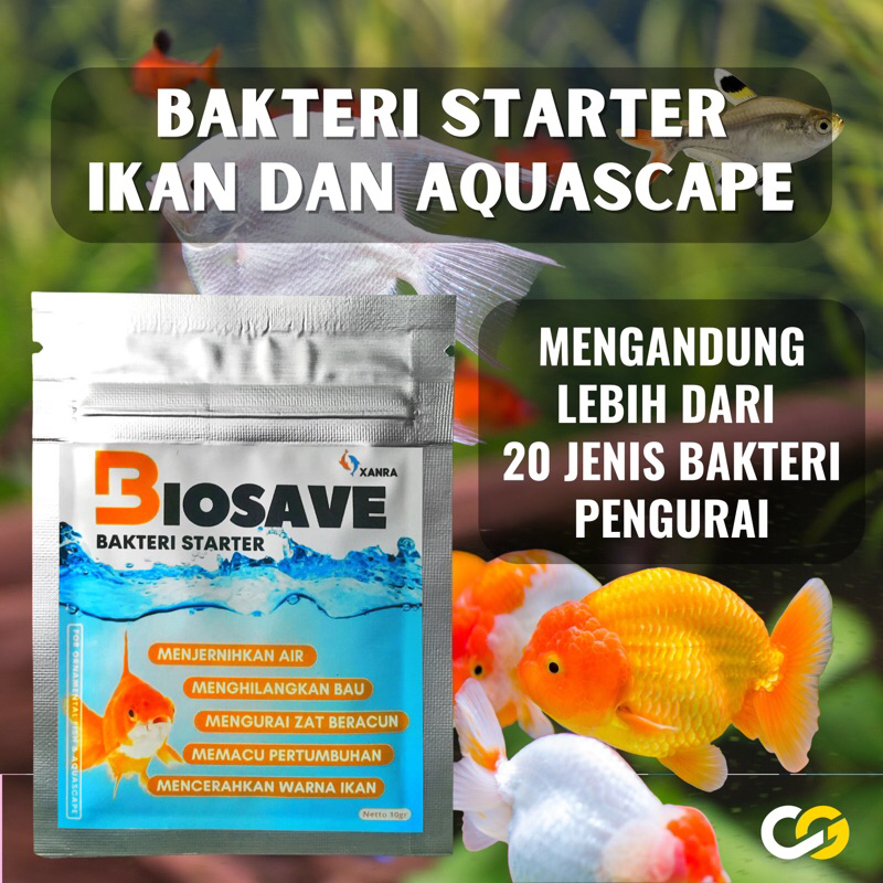 Jual PROMO Penjernih Air Aquarium Kolam Bakteri Starter Aquascape ...