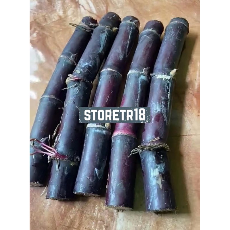 Jual Batang Tebu Hitam Tebu Ireng Tebu Wulung Paket 500 Gram | Shopee ...