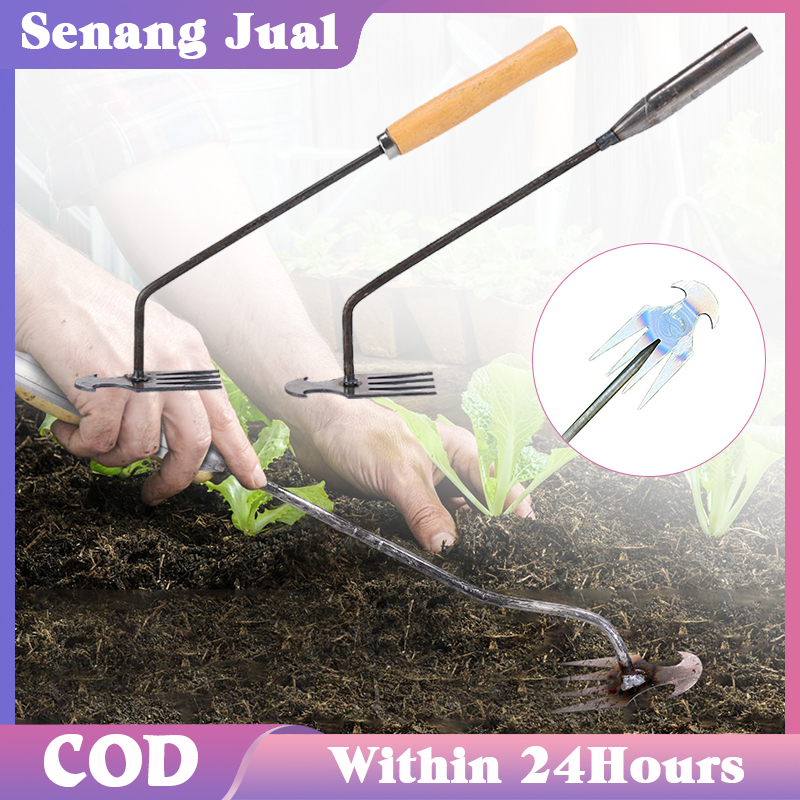 Jual Alat Pencabut Rumput Liar Di Halaman Rumah / Sekop Berkebun Empat ...