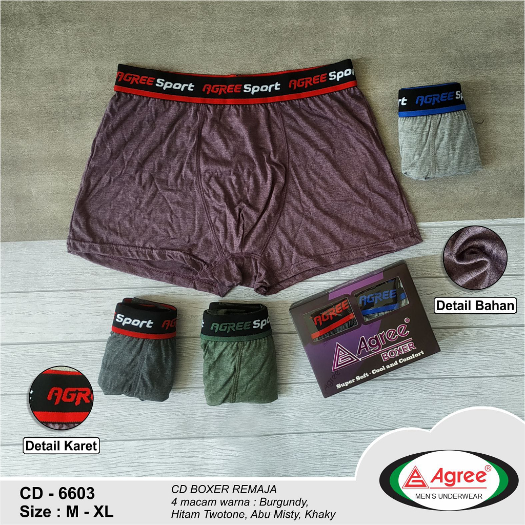 Jual (2 PCS) Celana Dalam Pria Boxer Agree 6603 Super Soft Cool and ...