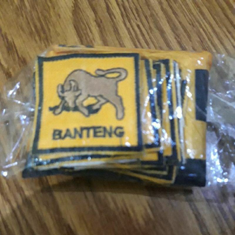 Jual Tanda Regu Pramuka Penggalang Putri + Bendera Regu Bet Badge ...