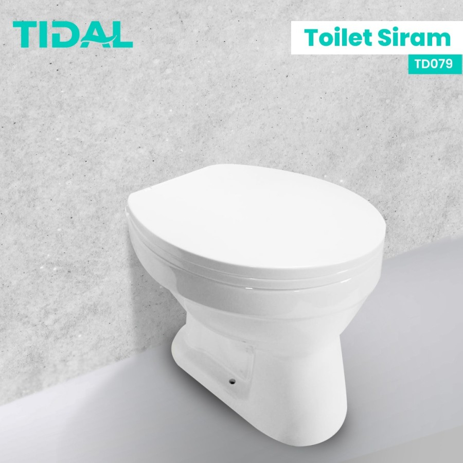 Jual Kloset Siram / Toilet Duduk Manual Tidal TD079 with Cover | Shopee ...