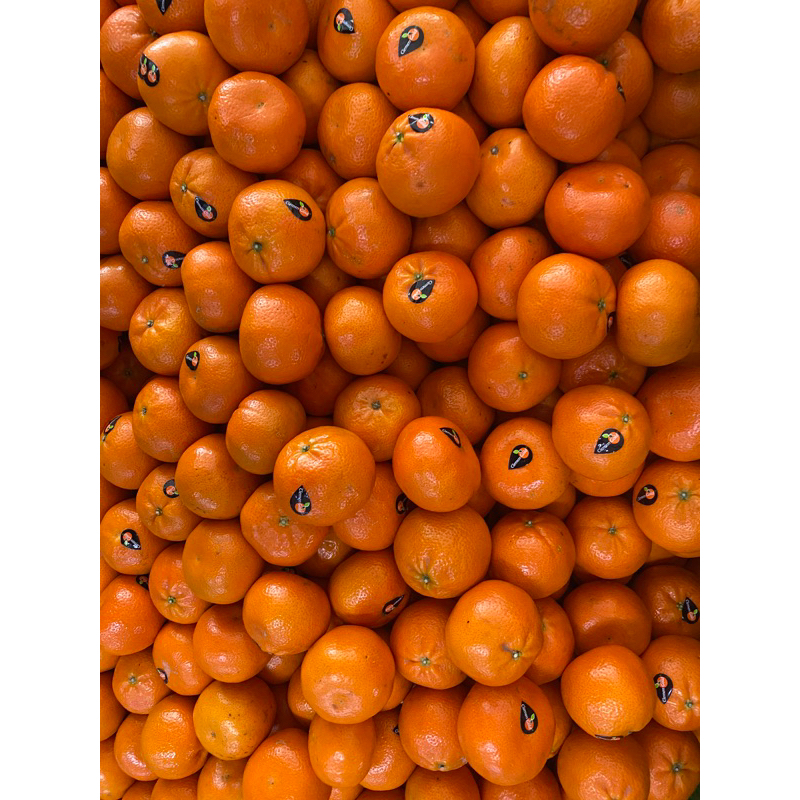 Jual Buah jeruk Clement Gold Africa | Buah Jeruk clement Segar 1 Kg ...