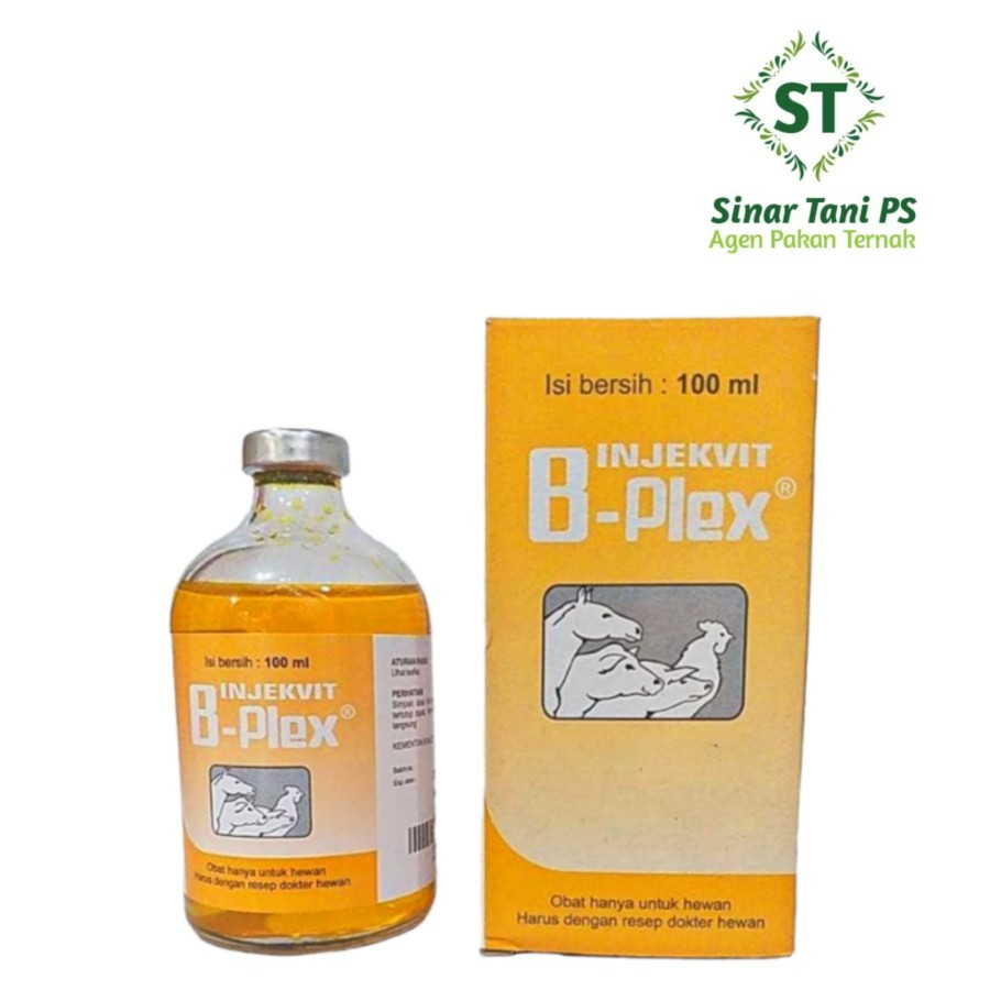 Jual Injekvit B-Plex 100 Ml Injeksi Vitamin B Kompleks 100 Ml | Shopee ...