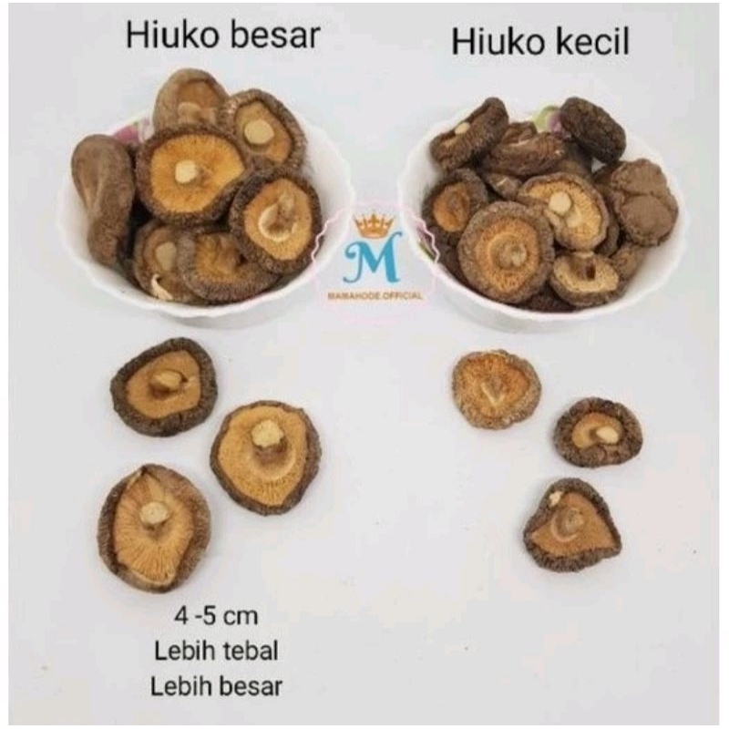 Jual JAMUR SHINTAKE HIOKO XIANG GU / JAMUR KUPING 500gr | Shopee Indonesia