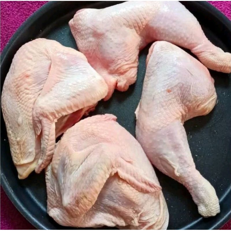 Jual ayam potong 4 berat 0.9 - 1 kg ayam hidup | Shopee Indonesia