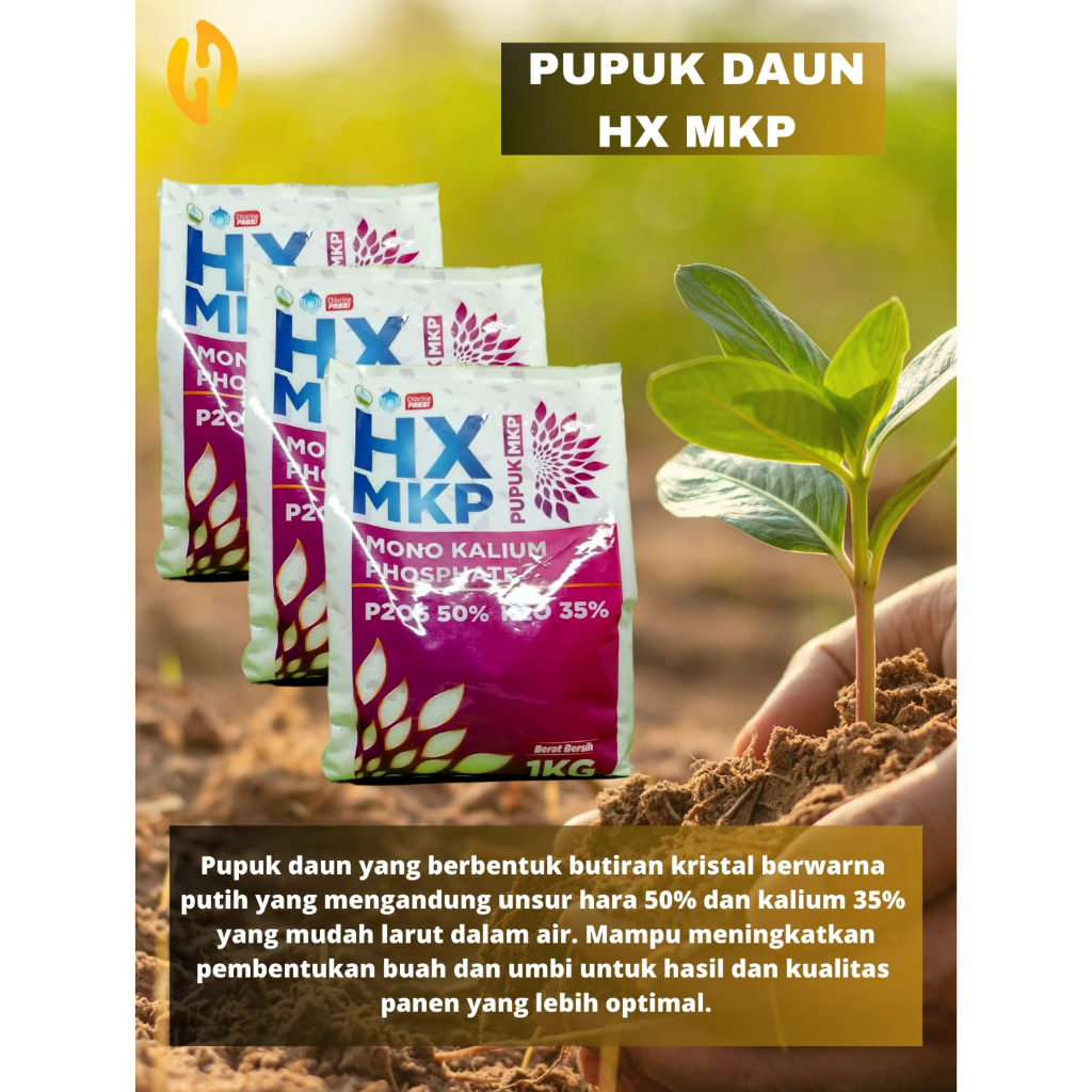 Jual PUPUK HX MKP 1KG | Shopee Indonesia