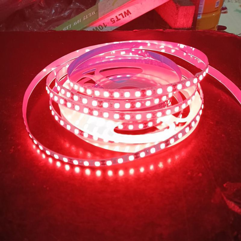 Jual YAMASAKI lampu led strip mata rapat DC 12V warna merah | Shopee ...