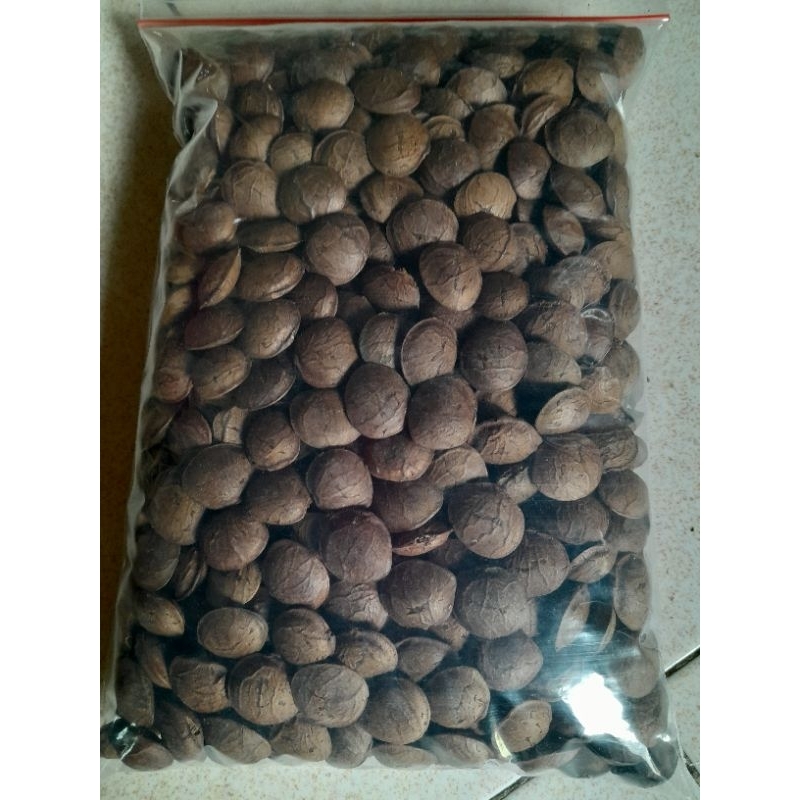 Jual SACHA INCHI Biji Benih Pilihan kemasan 1kg | Shopee Indonesia