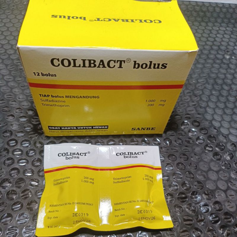 Jual COLIBACT BOLUS SANBE FARMA (1 sachet 2 bolus) | Shopee Indonesia