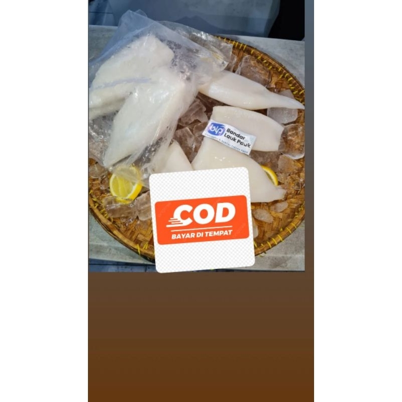 Jual Cumi Tube Frozen isi 4 1kg | Shopee Indonesia