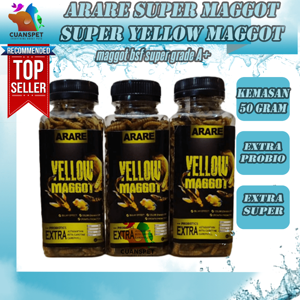Jual ARARE Super Maggot Series Maggot Bsf Super Kualitas Grade A ...