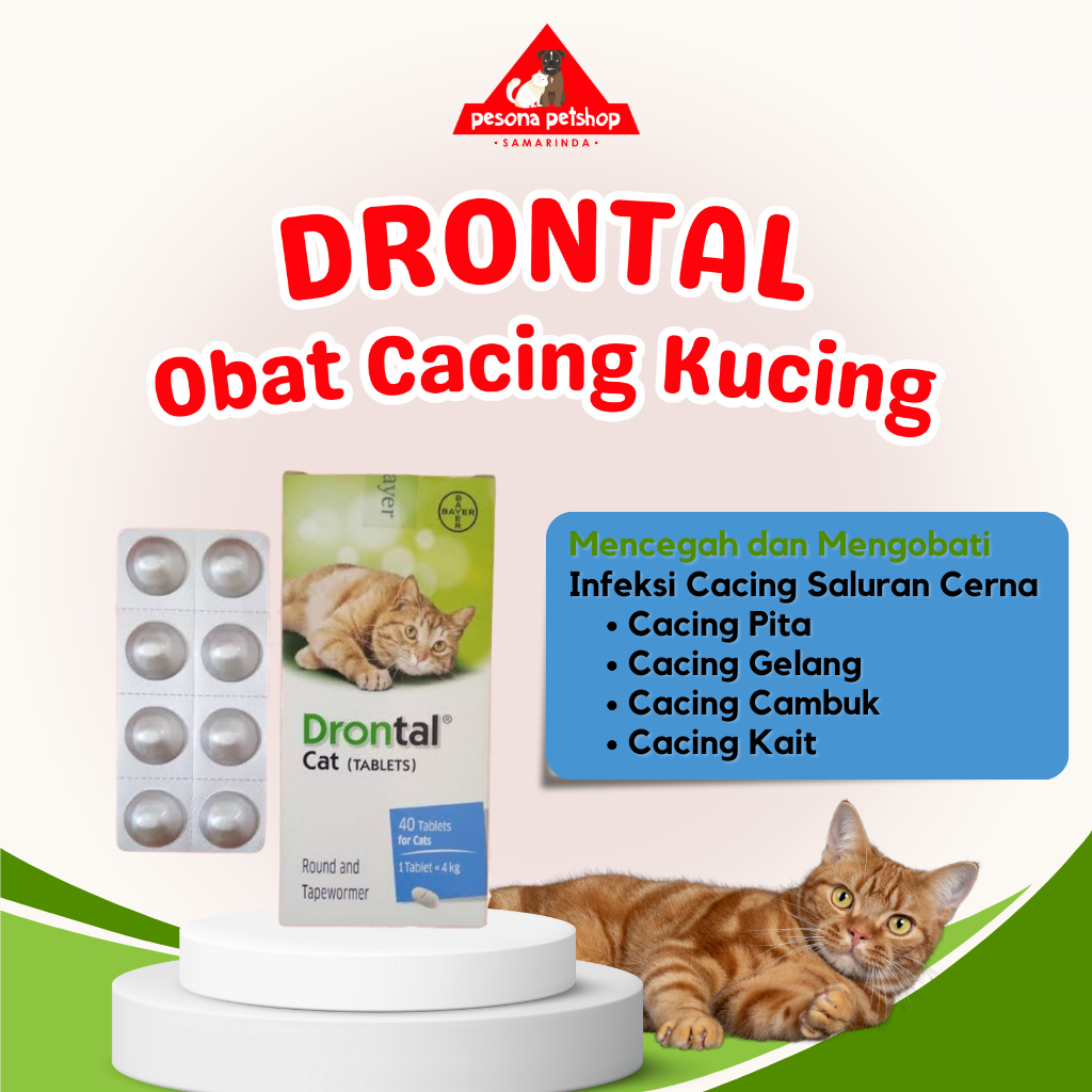 Jual Drontal Cat Obat Cacing Kucing 1 Tablet Obat Hewan Peliharaan ...