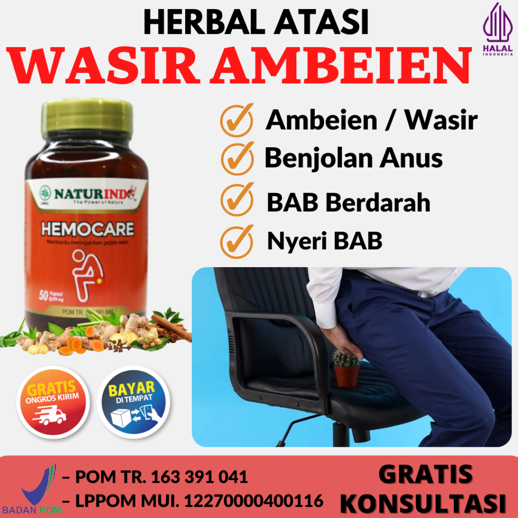Jual Obat Wasir Obat Ambeien Stadium 1-4 Susah BAB Keras Berdarah ...