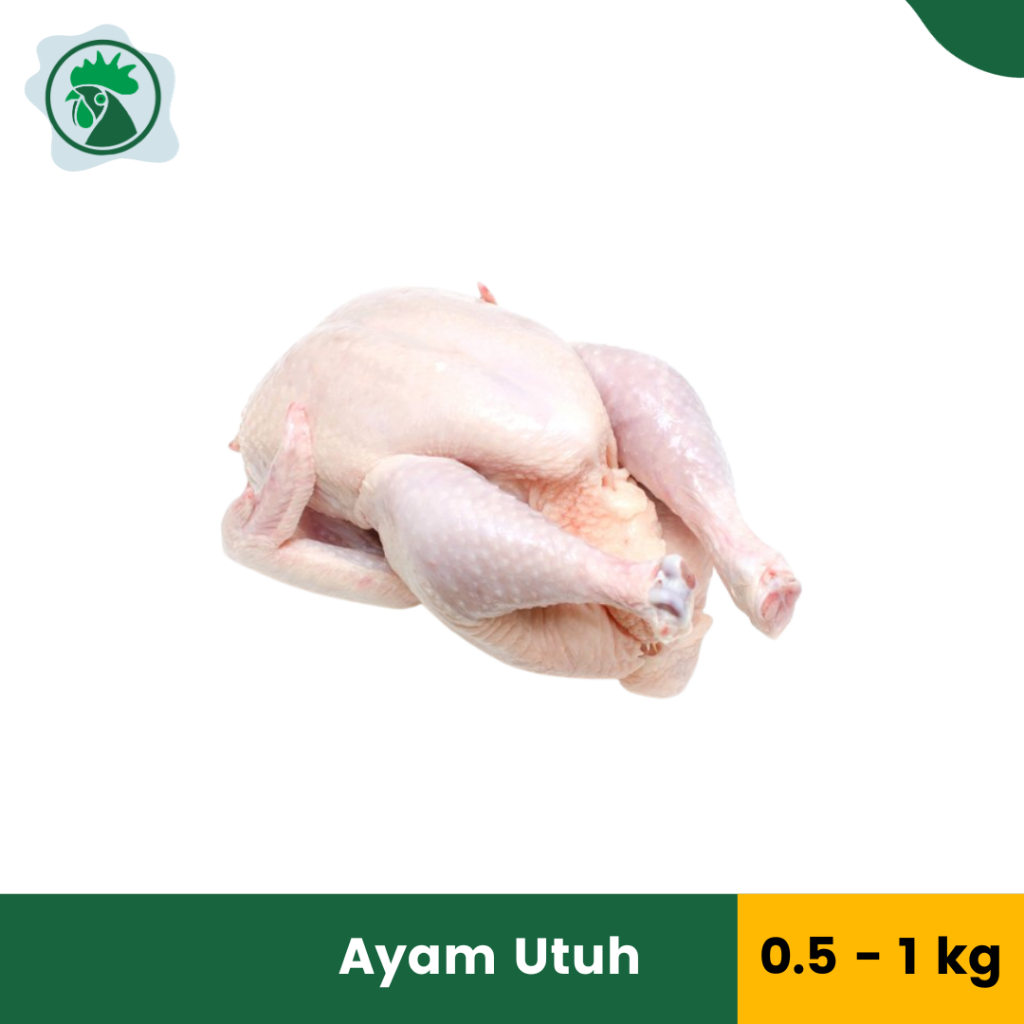 Jual Ayam Potong PREMIUM 1 Ekor | Karkas Utuh - Whole Chicken | Ayam ...