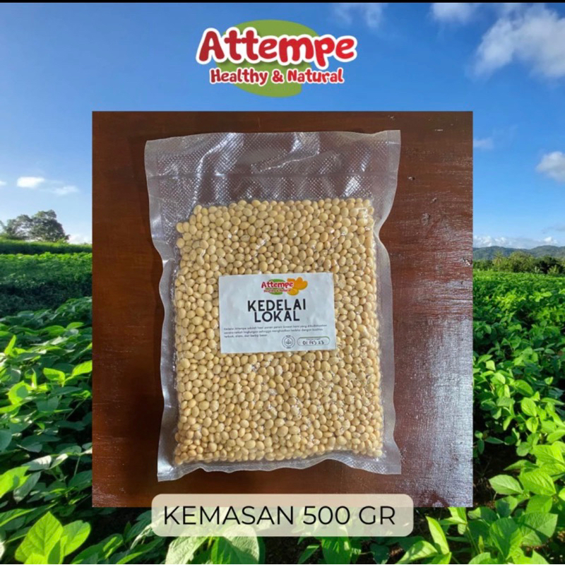 Jual Kedelai Lokal Organik Non-GMO berat 500 gram ATTEMPE Healthy Food ...