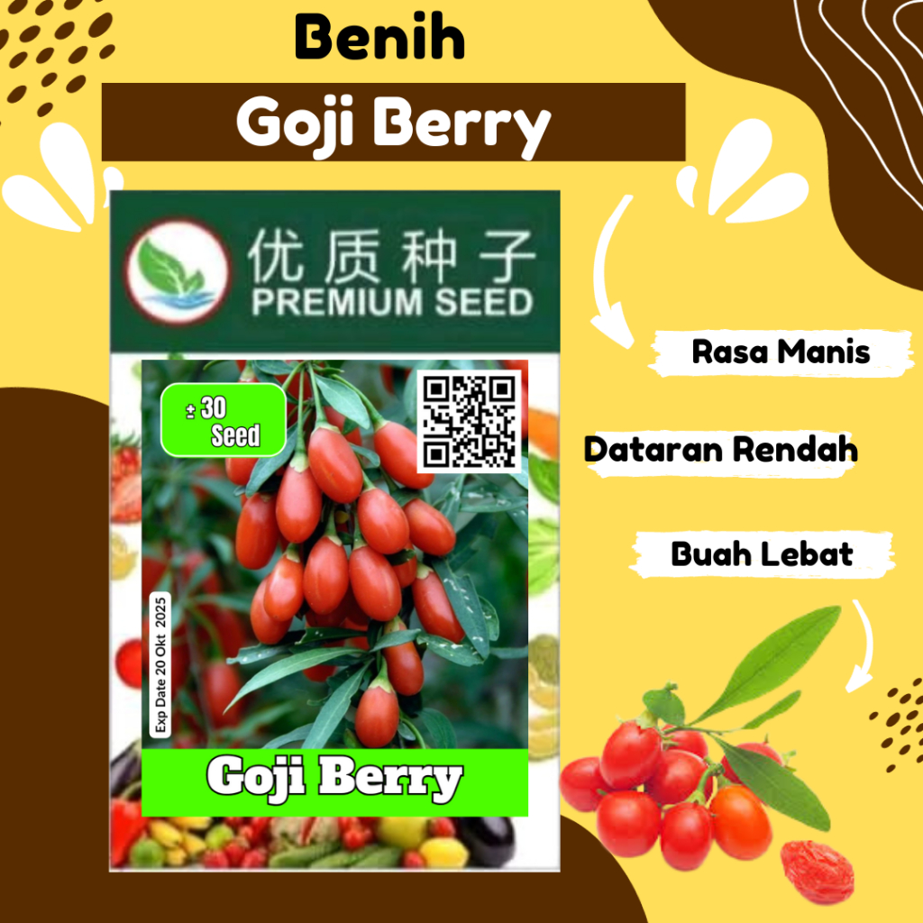 Jual Benih GOJI BERRY PREMIUM SEED Buah Lebat Rasa Manis Dataran Rendah ...