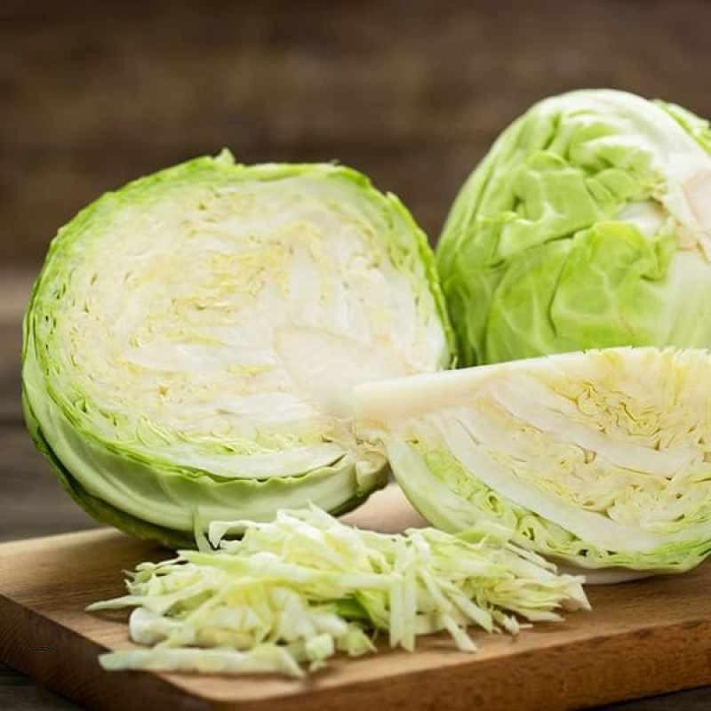 Jual Sayur Segar Kol Kubis Putih White Cabbage 1 buah | Shopee Indonesia