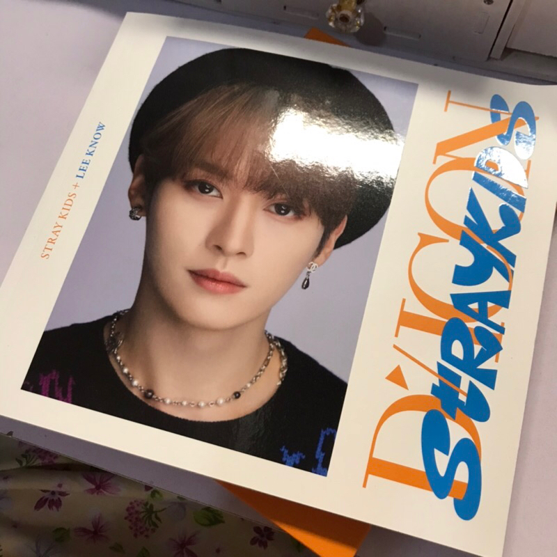 Jual Stray Kids Dicon Lee Know photobook | Shopee Indonesia