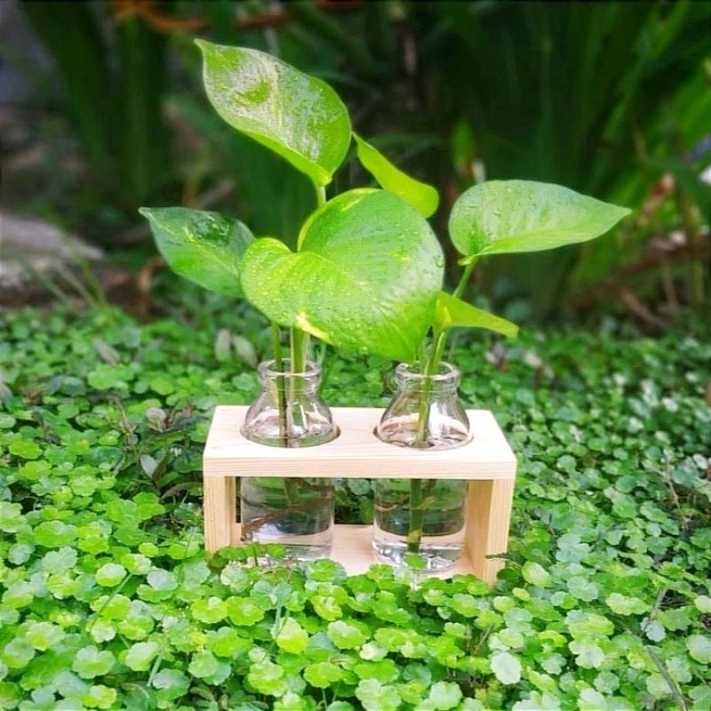 Jual Paket Vas Kayu | Hiasan Meja Aesthetic Pot Botol Kaca Dan Cover ...