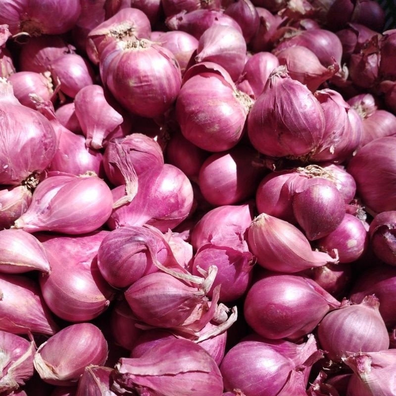Jual bawang merah super 1kg | Shopee Indonesia