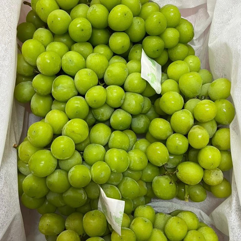 Jual Buah Anggur Hijau Shine Muscat Kg Keranjang Krat | Shopee Indonesia