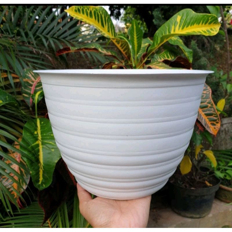 Jual Pot madu 25 Super Tawon, bentuk tawon, diameter 22 cm, pot 25 ...