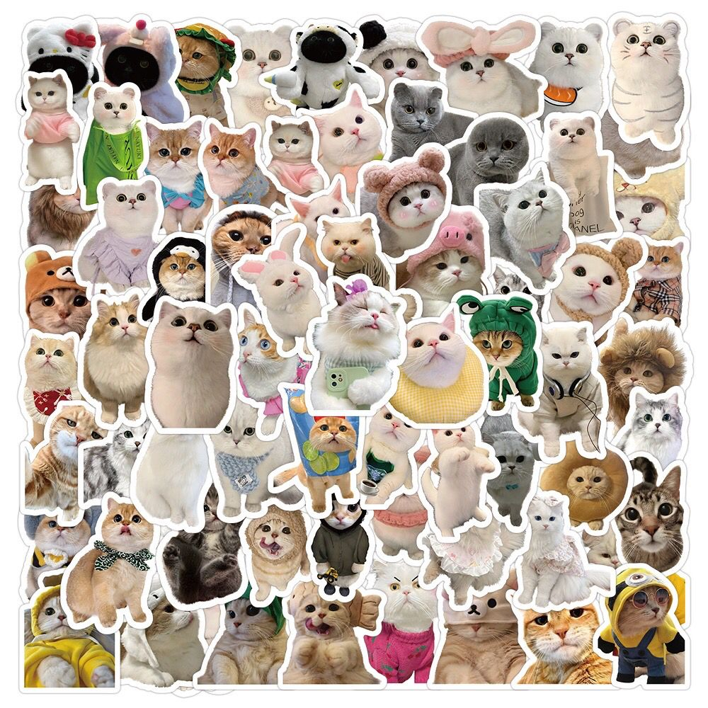 Jual 60pcs Sticker Kucing HYPEBEAST Graffiti Logo Swag Tumblr CAT DOGGY ...