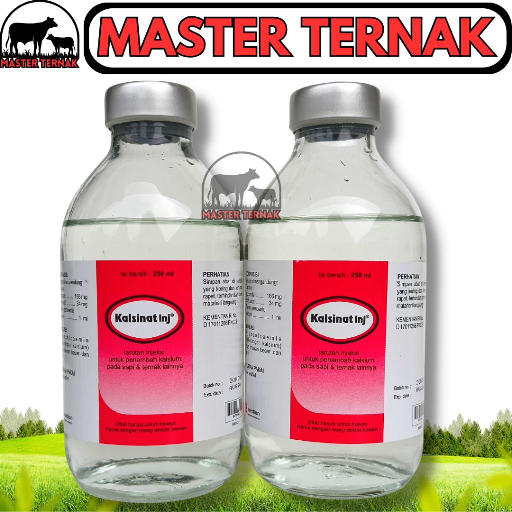 Jual KALSINAT INJ 250ml - Obat untuk hipokalsemia milk fever pada sapi ...