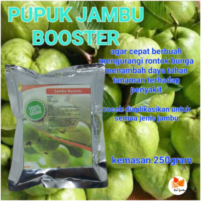Jual Pupuk jambu booster organik agar cepat berbuah lebat anti rontok ...