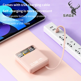 Jual SAGE Power Bank PB-501A 10000mAh Dual Input Port Type C & Micro ...