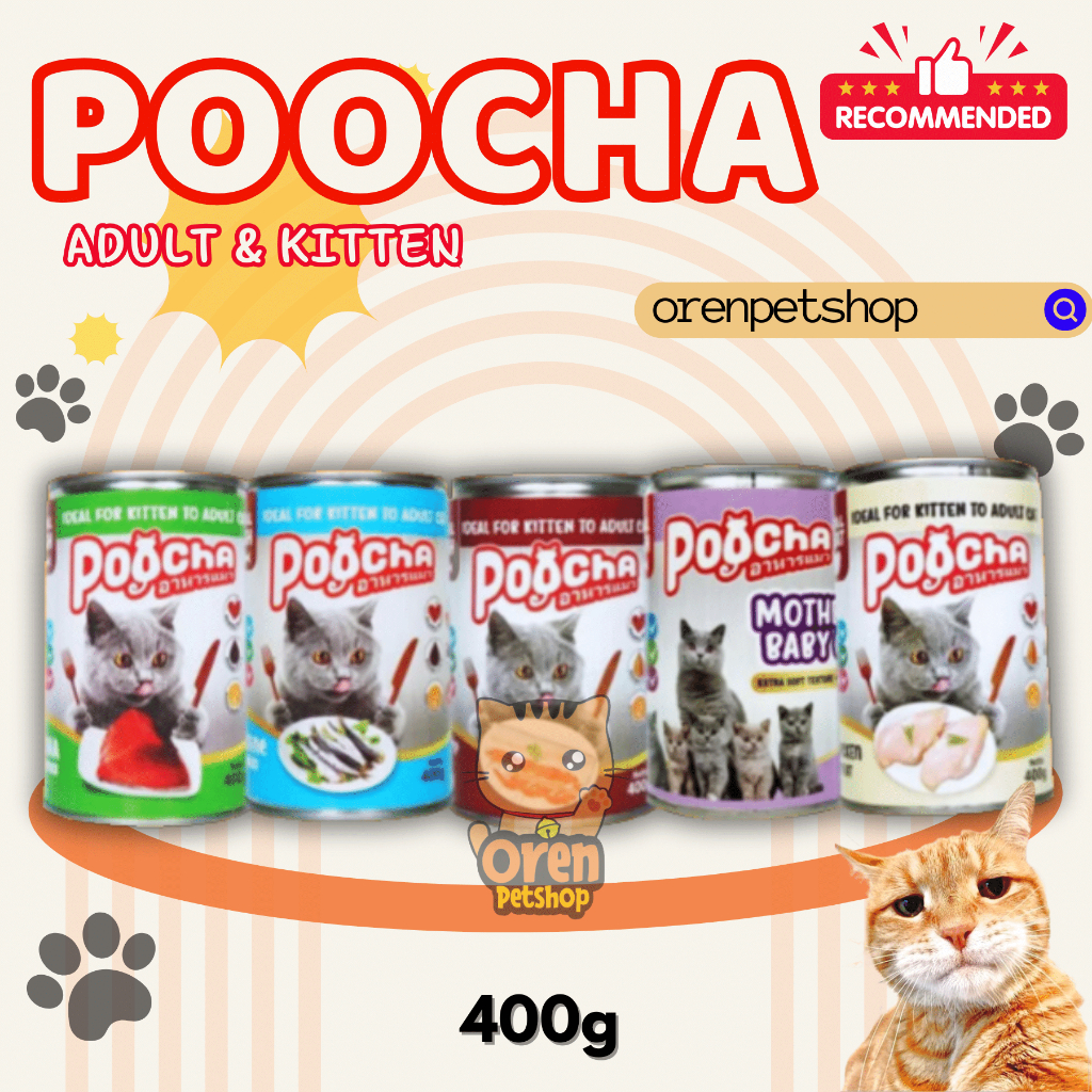 Jual POOCHA Makanan Kucing Kaleng basah Wet food Cat food Kitten ...