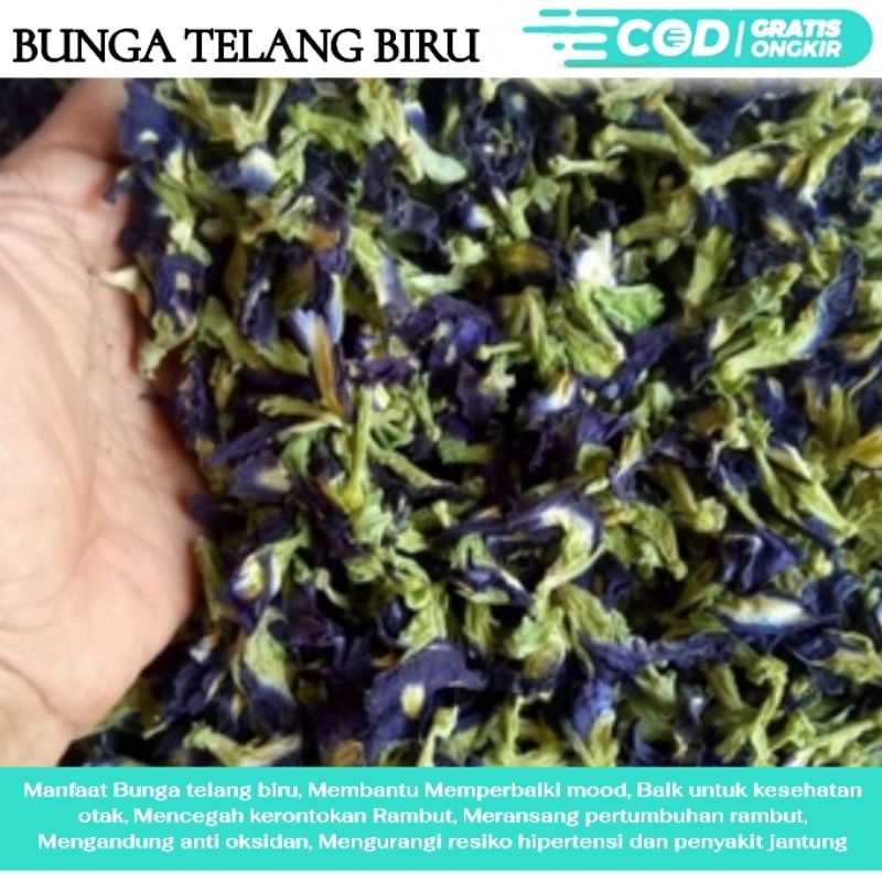 Jual Bunga telang 1kg | Shopee Indonesia