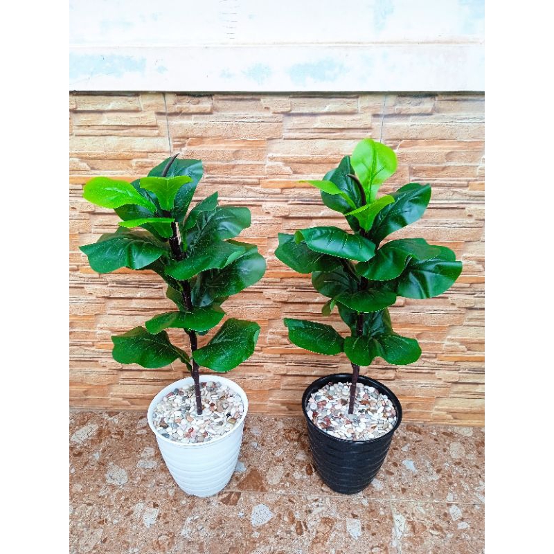 Jual Pohon ketapang artificial (sudah dengan pot) | Shopee Indonesia
