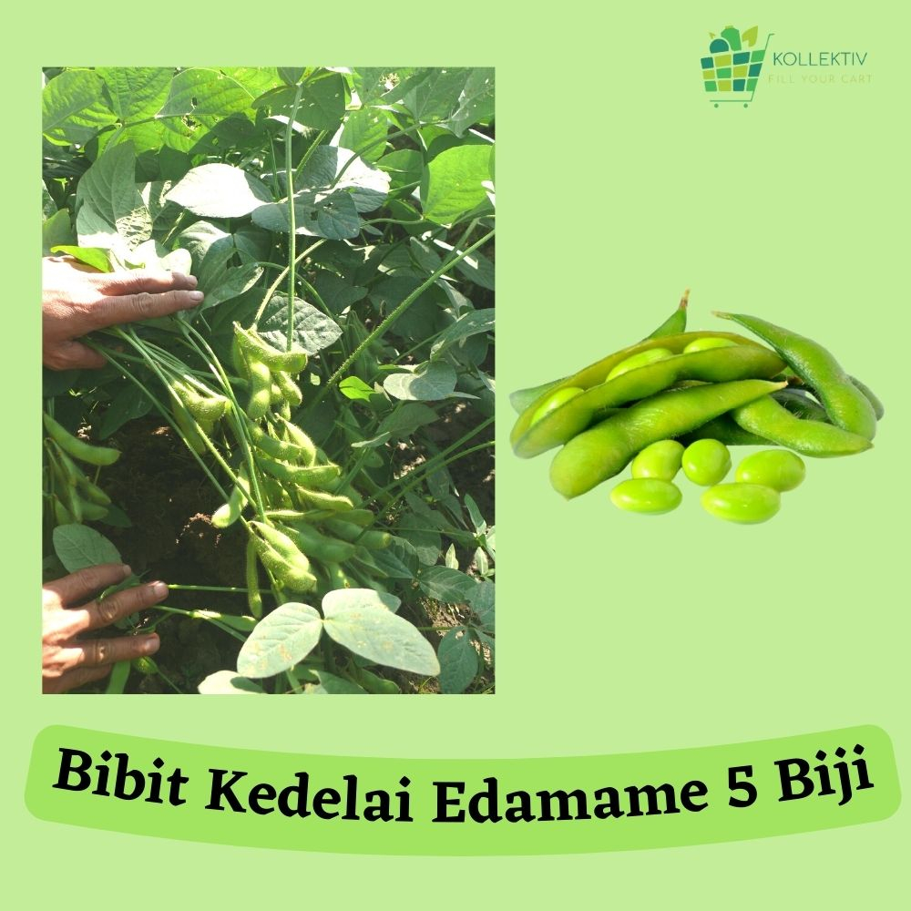 Jual Bibit Kedelai Edamame / Benih Sayuran | Shopee Indonesia