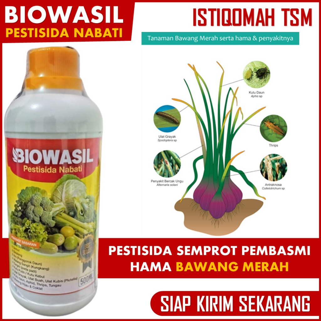 Jual PUPUK PESTISIDA SEMPROT PENGENDALI HAMA BAWANG MERAH - Pupuk ...