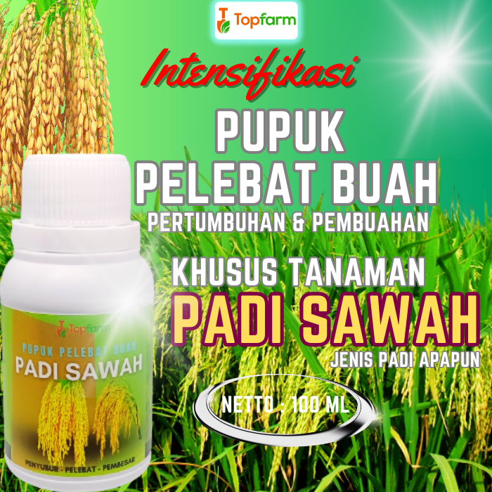 Jual Pupuk Padi Sawah Terbaik / Pupuk Padi Sawah Terbaik / Pupuk Padi Semprot Penyubur / Pupuk ...