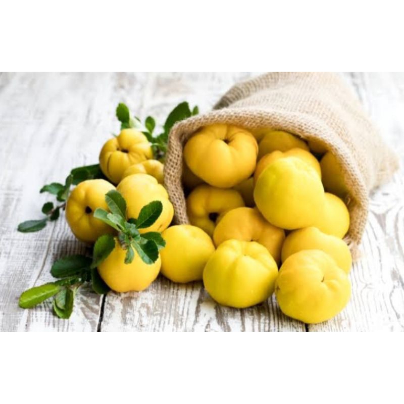 Jual buah quince/buah ayva fresh/safarjal turkie//500gr | Shopee Indonesia