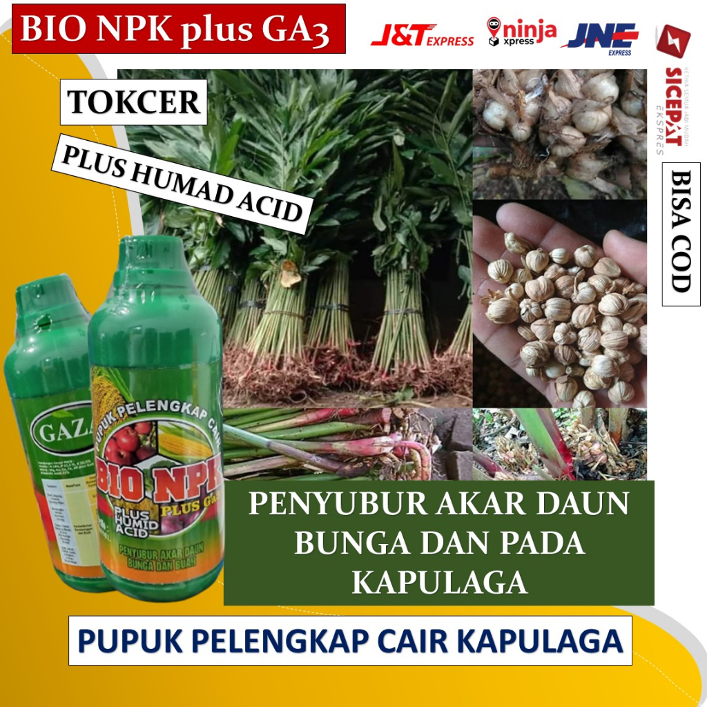 Jual Pupuk Kapulaga Agar Berbuah Lebat BIO NPK GAZA 500ML Pupuk Kapulaga Yang Bagus, Pupuk ...