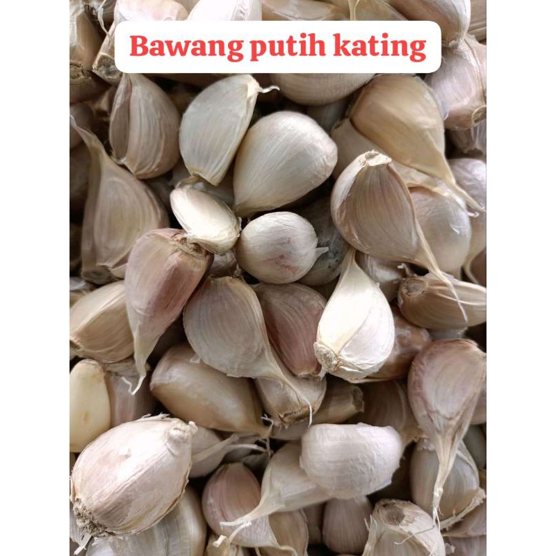Jual bawang putih Kating KATING 1KG | Shopee Indonesia