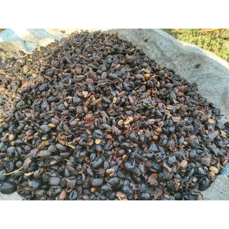 Jual Kulit buah kopi 1 kg kering(cascara) | Shopee Indonesia