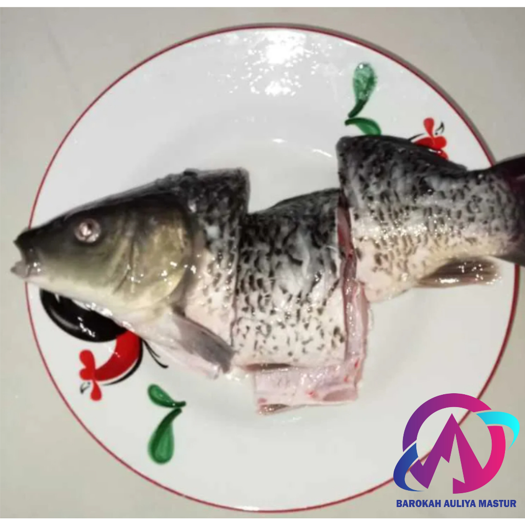 Jual IKAN RAYO SEGAR POTONG GORENG GULAI PUNGGUNG MURAH BAM PADANG ...